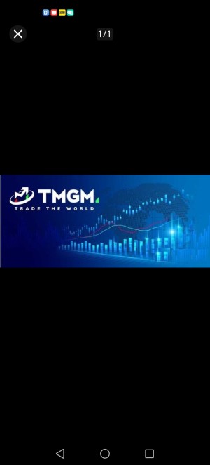 TMGM成功的关键在于有强大优秀的好平台扶持【TMGM】每手返31返20黄金佣金,外汇市场的行业领导者券商代理推广团队对接 - IB ...